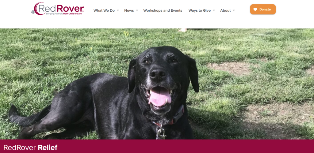 Financial Hardship Grants: Get the Help You Need | India Against Corruption